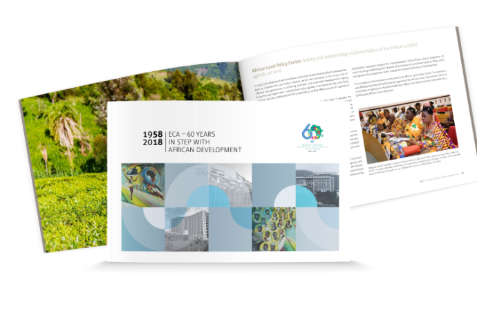 IGAD – Strategy documents 2021-2025 - Phoenix Design Aid