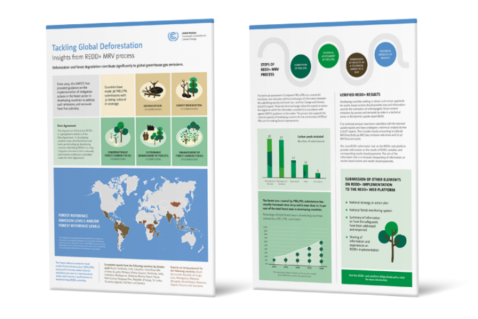 UNDP Crisis Response Unit – Programme Criticality Animated Video ...