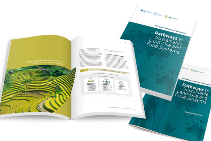 IGAD – Strategy documents 2021-2025 - Phoenix Design Aid